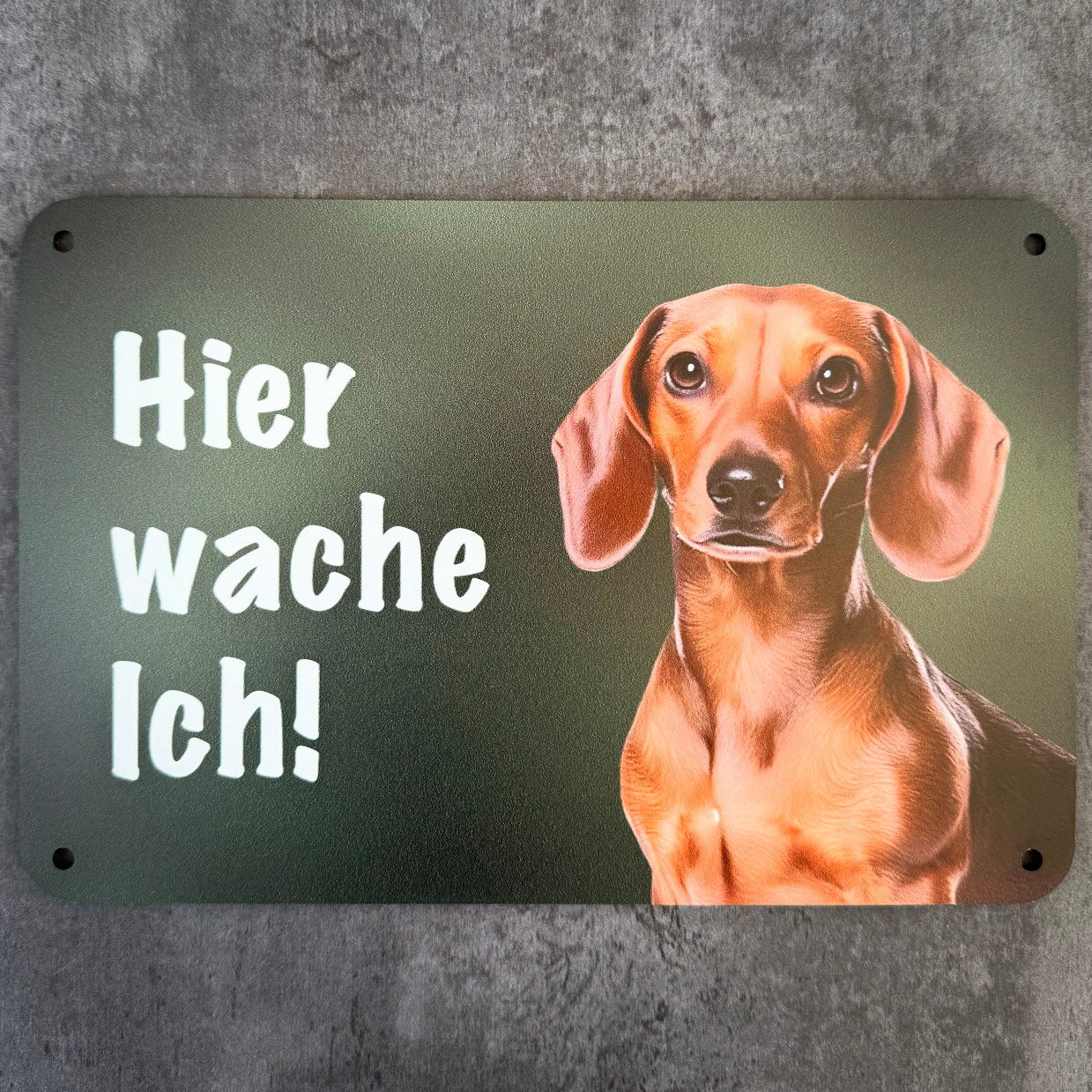 "Hier wache ich!" Zaunschild Dackel / Teckel Kurzhaar hellbraun – Wilde ...